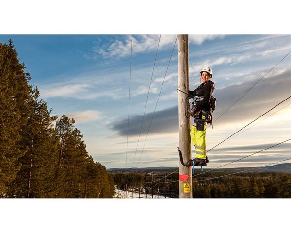 Bilinredning & serviceinredning | Modul-System